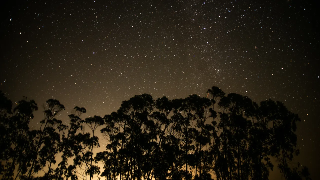 About Us - Vale das Estrelas - Official Website
